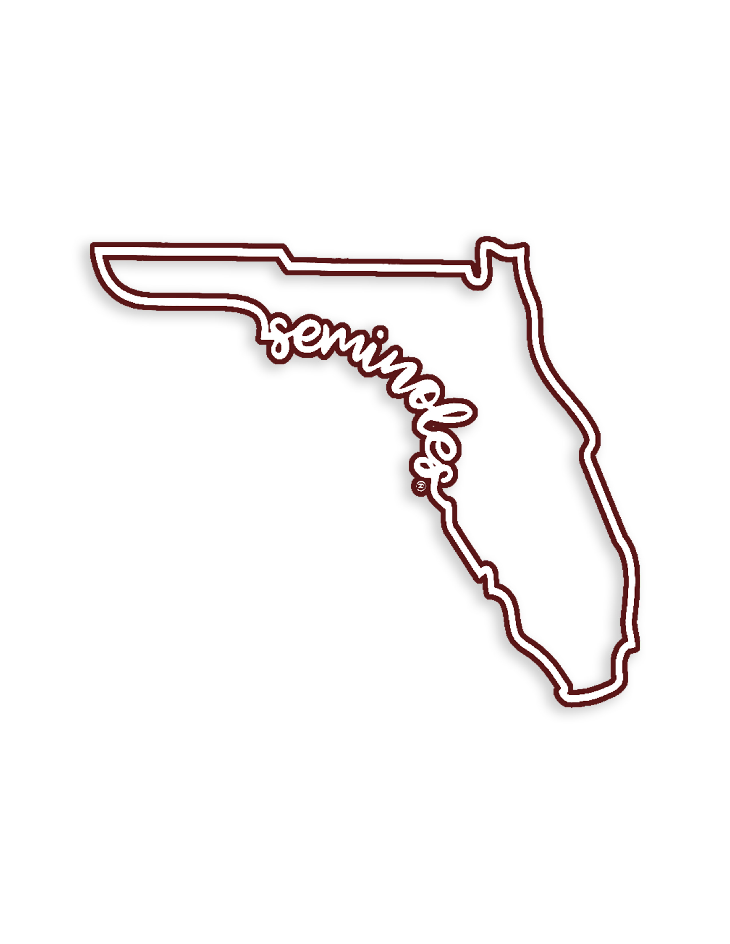 FSU Seminoles State Script Dec