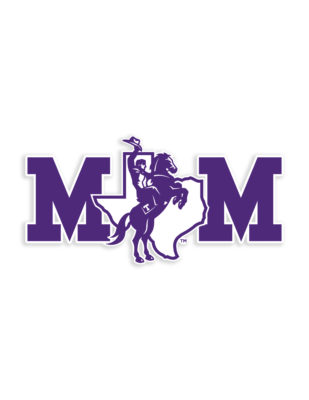 TSU Stripe Design Flag - Barefoot Campus Outfitter