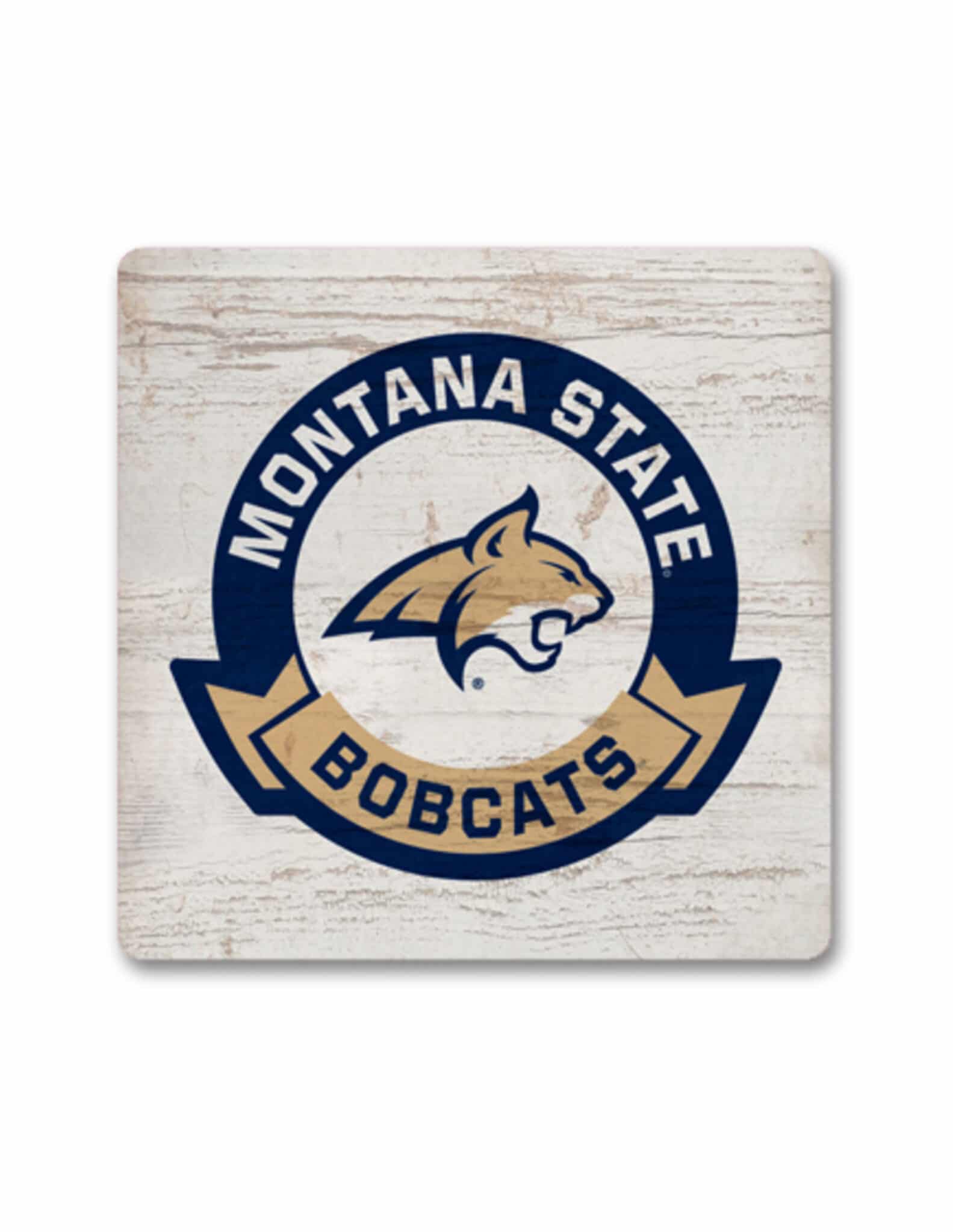 MSU Bottom Banner Magnet - Barefoot Campus Outfitter