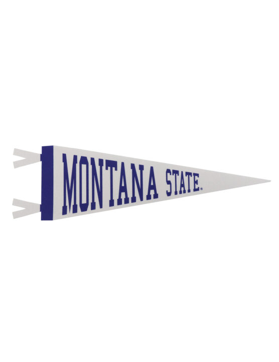 MSU Mini Pennant - Barefoot Campus Outfitter